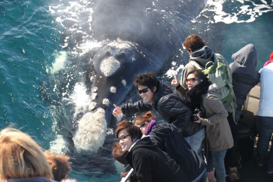 Augusta: Whale Watching Tour - Who Will Love This Tour?