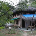 Auroville Guided Walking Tour - The Guided Experience: Pros and Cons