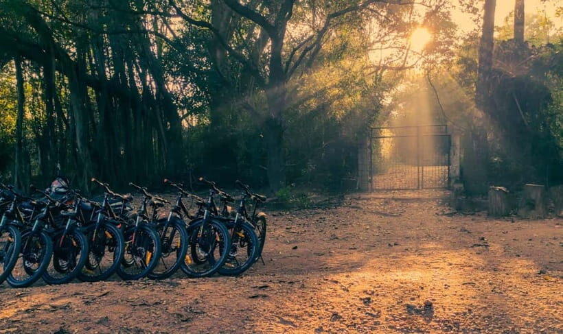Auroville: Nature Trail Forest Cycling Adventure - What Makes This Tour Special