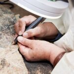 Australian Dinosaur Giants Tour - What the Experience Means for Visitors