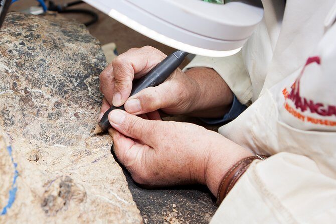 Australian Dinosaur Giants Tour - What the Experience Means for Visitors