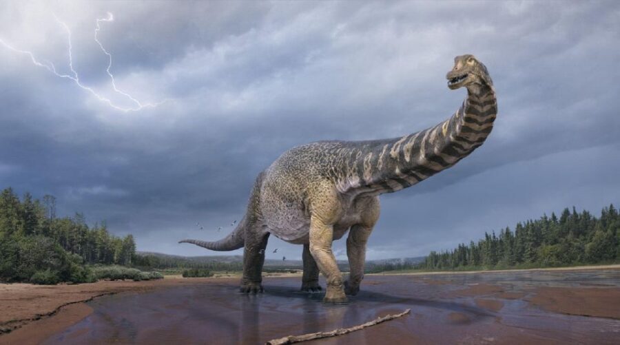 Australian Dinosaur Giants Tour - What the Tour Means for You