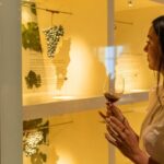 Australian Wine Discovery Tour Ticket - The Experience from the Reviews
