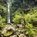 Australias Great Ocean Road Self-Guided Driving Audio Tour - The Sum Up