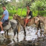 Authentic Fijian Day Tour - What Travelers Have Said