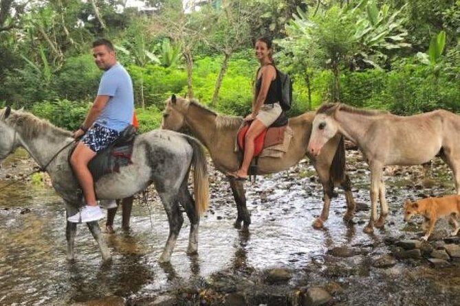 Authentic Fijian Day Tour - What Travelers Have Said