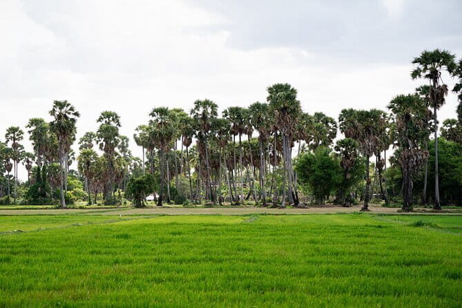 Authentic Siem Reap: Tuk Tuk Countryside and Sunset Tour - Visiting a Local Market with Authentic Charm