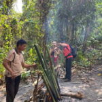 Authentic trek only walk in Chiang Rai jungle - What Makes This Tour Stand Out?