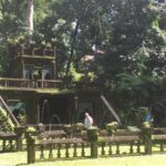Award winning Paronella Park Day and Night Tour - Who is this tour best suited for?