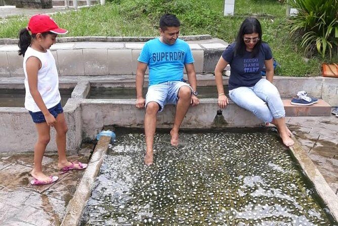 Back to Nature Tour - Templer's Park, Hot Spring & Batu Caves - The Pros and Cons: A Balanced View