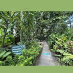 Bacolod City Tour - Practical Details and Travel Tips