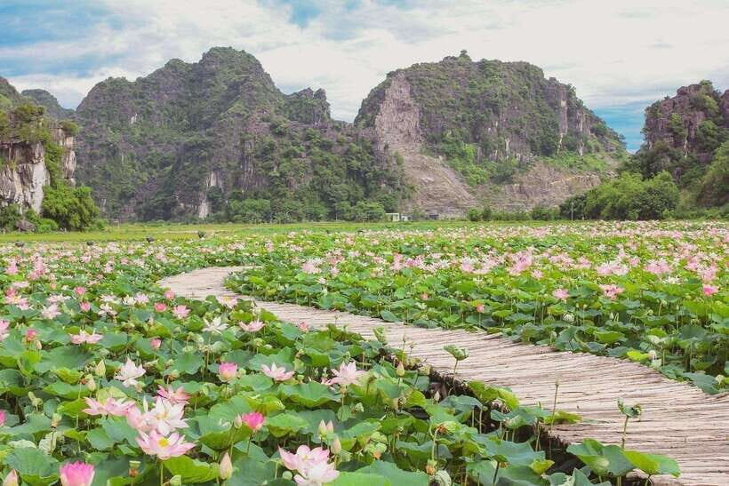 Bai Dinh Pagoda And Trang An Eco-Tourism Full Day Tour - What You Should Know Before You Go
