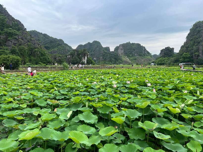 Bai Dinh Pagoda, Trang An, Mua Cave, Halong Bay Cruise Tour - Practical Details and Value