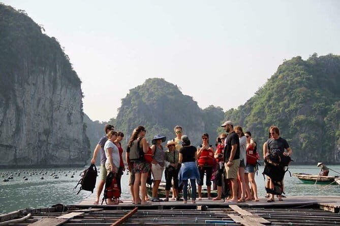 Bai Tu Long Bay Day Trip - The Practical Side: What Travelers Need to Know