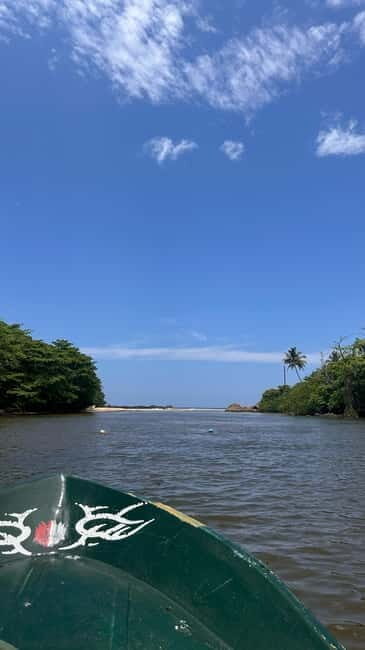 Balapitiya: Madu River Boat Tour - Wildlife and Nature: What Youll See and Learn