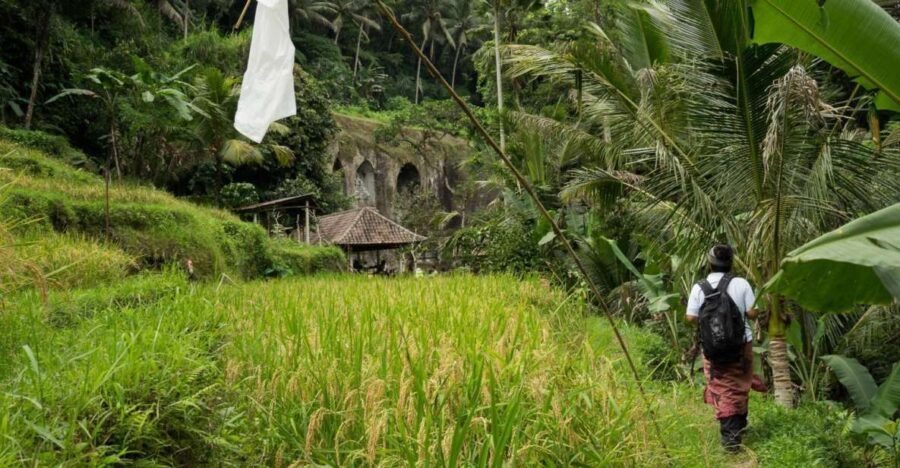 Bali: 6-Hour UNESCO Sites Cultural Walking Tour - What’s Included and What’s Not?