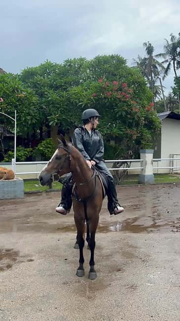 Bali: ATV Ride and Horse Riding Package with Lunch - Why this tour is a good choice