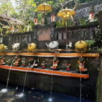 Bali: Barong Dance and Holy Water Temple Tour with Transfer - Why This Tour Is Worth It