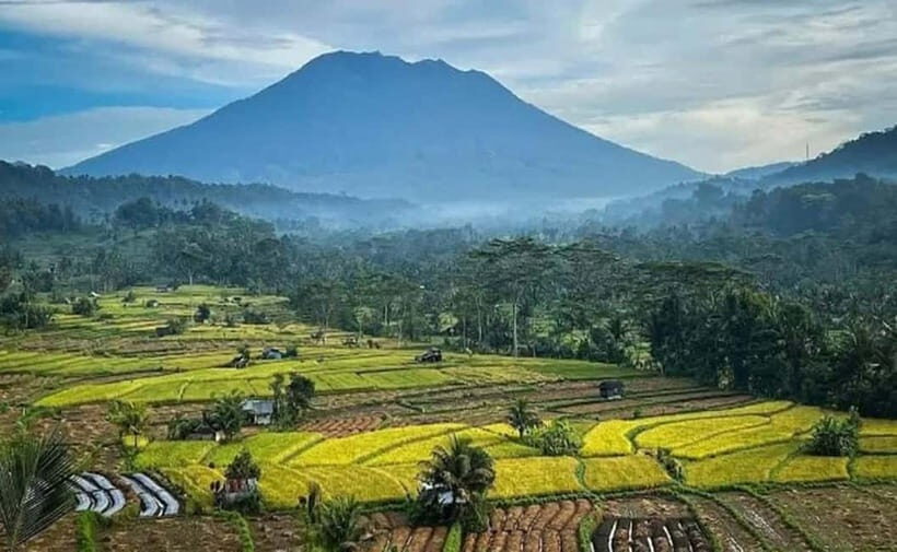 Bali: Besakih Temple and Sidemen Tour - Authentic Experiences and Caveats