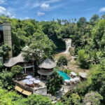 Bali: Best of Ubud Waterfalls Tour - Who Will Love This Tour?