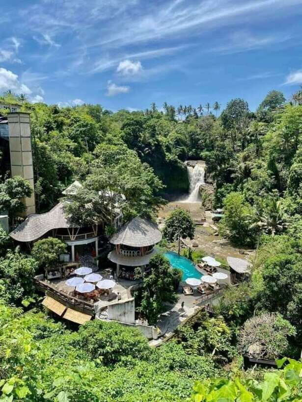 Bali: Best of Ubud Waterfalls Tour - Who Will Love This Tour?