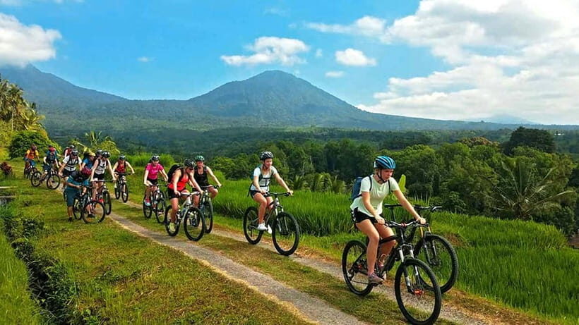 Bali Bike Adventures: The Ultimate Cycling Through Paradise - What to Expect on Your Cycling Day
