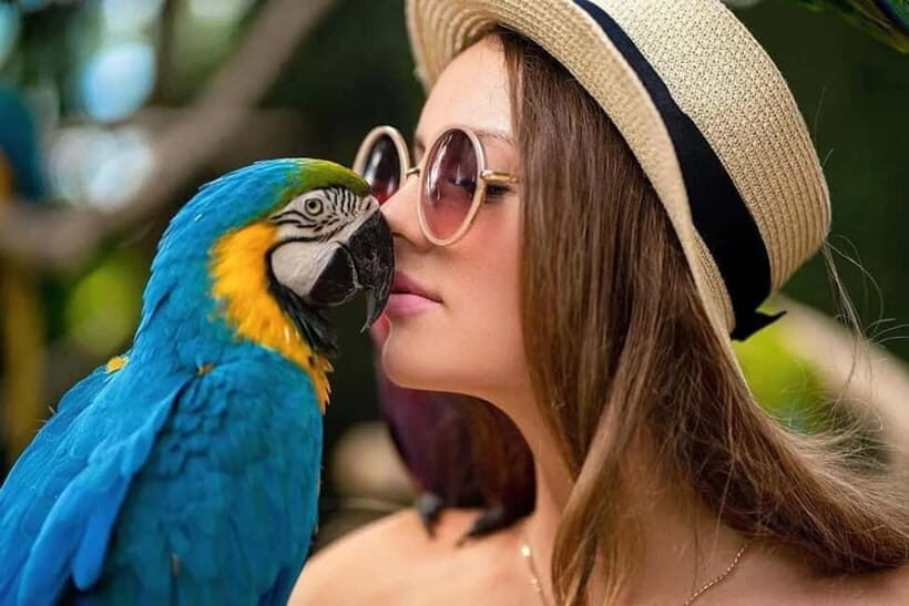 Bali Bird Park & Pirate Dinner Cruise the Unique Adventure - Who Will Love This Tour?