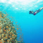 Bali: Blue Lagoon Snorkel & Tenganan Village Trip with Lunch - What’s Included and What’s Not