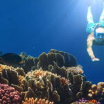Bali Blue Lagoon Snorkeling and Waterfall Tour - What to Expect During the Snorkeling Adventure