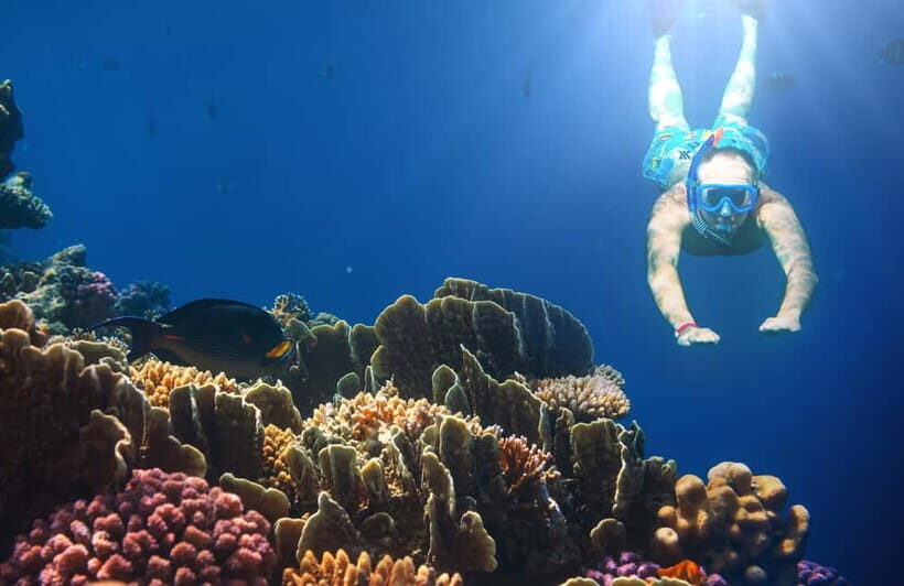 Bali Blue Lagoon Snorkeling and Waterfall Tour - What to Expect During the Snorkeling Adventure