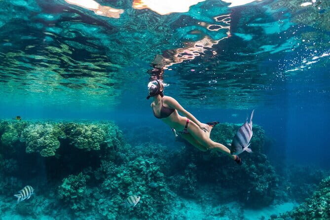 Bali Blue Lagoon Snorkeling Tour All Inclusive - Who Will Love This Tour?