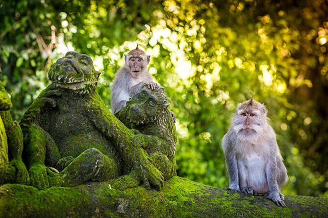 Bali Customized Private Tour - Why Travelers Love This Tour