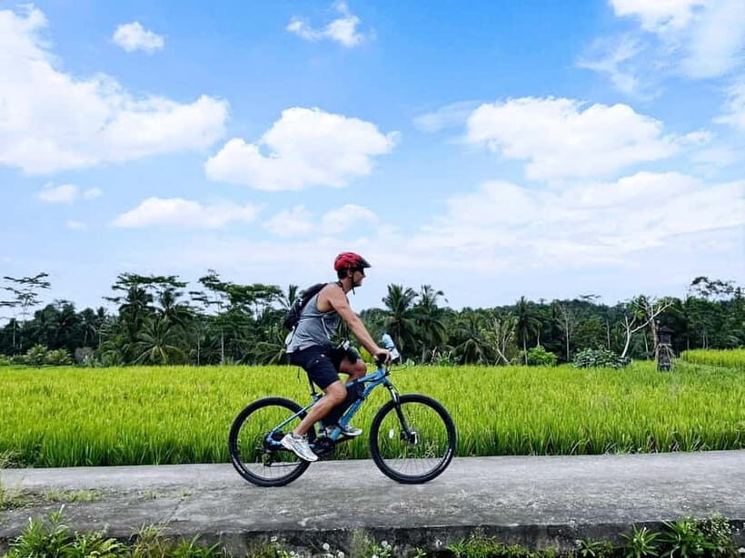Bali: Electric Bike Cycle Tour through Rice Terrace - An Introduction to the Bali Electric Bike Tour Experience