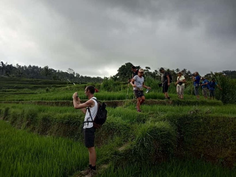 Bali: Explore culture and Trekking Beauty in Nongan Village - What to Expect on the Nongan Trekking Tour