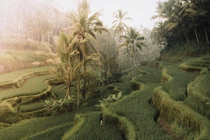 Bali : Full Day Traditional Village & Sightseeing - Who Will Love This Tour?