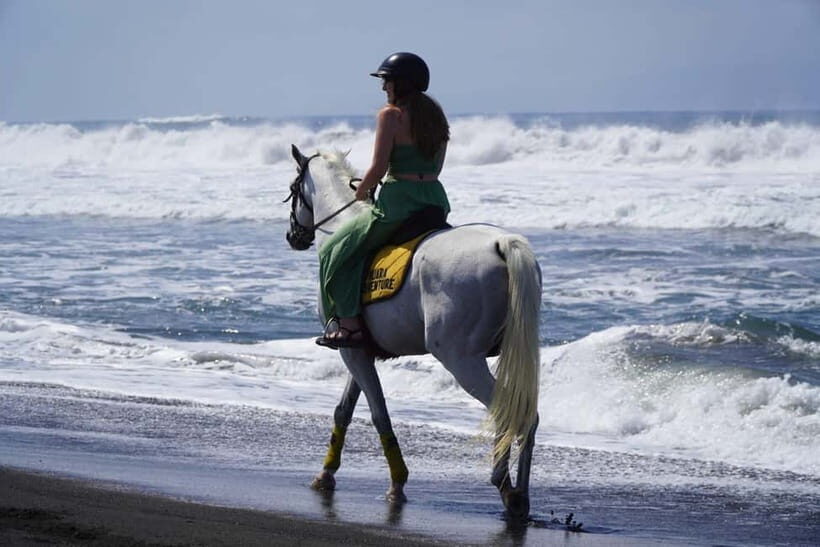 Bali: Horse Riding Sanur Beach Experience with Transport - What to Expect During the Tour