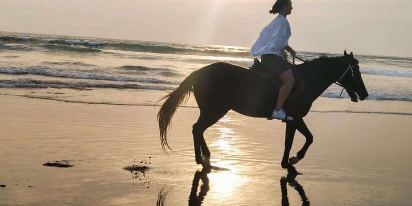 Bali: Horse Riding Tour on Seminyak Beach Include Transport - An In-Depth Look at the Tour Experience
