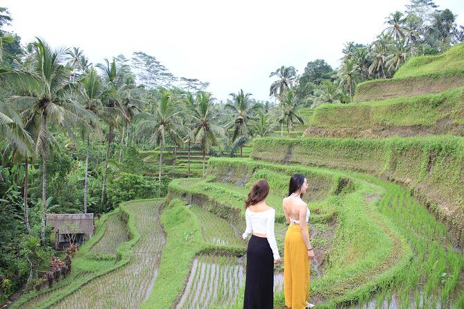 Bali Instagram Most Iconic Spots Private Tour - Who Should Consider This Tour?