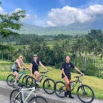 Bali: Jatiluwih Cycling Tour with Lunch and Hotel Transfer - Analyzing the Experience: Value and Authenticity