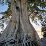 Bali: Jatiluwih Rice Terraces Walking Tour And Tanah Lot - Who Will Love This Tour?