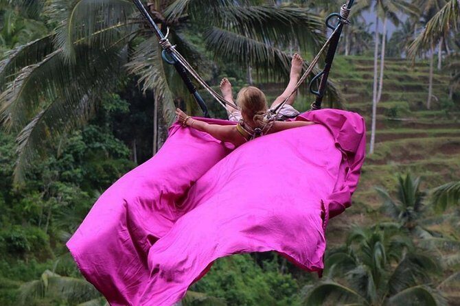 Bali Jungle Swing, Ubud Art Market & Puri Saren with Japanese Speaking Guide - What to Expect at Each Stop