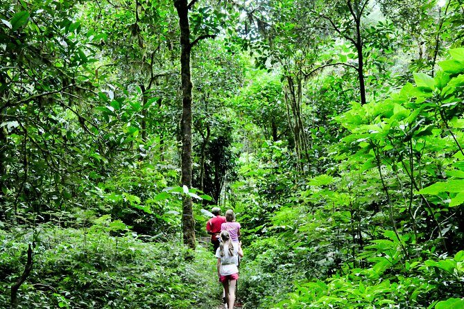 Bali Jungle Trekking in Beautiful Rainforest - The Sum Up