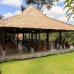 Bali Kayaking Adventure with Lunch and Private Hotel Transfer - The Experience of the Tour: What Travelers Say