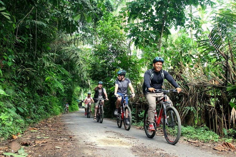 Bali: Kintamani Downhill Bike Tour, Jungle and Waterfalls - What to Expect and Practical Tips