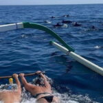 Bali: Lovina Swimming With Dolphine & Snorkeling Tour - What Travelers Are Saying