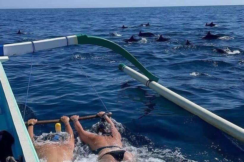 Bali: Lovina Swimming With Dolphine & Snorkeling Tour - What Travelers Are Saying