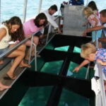 Bali: Melasti Beach, GWK Cultural park, Kecak, Turtle Island - Authentic Experiences That Matter