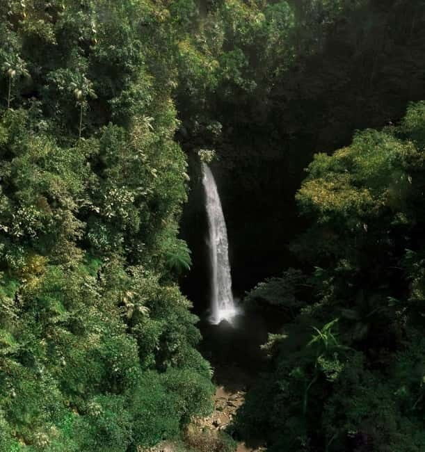 Bali: Monkey Forest, Waterfall, Swing & Beratan Lake Temple - FAQ