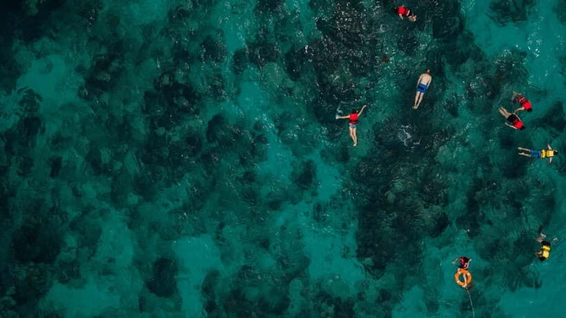 Bali/Nusa Dua: Snorkeling, Glass Boat Ride & Turtle Center - The Practical Side: What’s Included and What’s Not