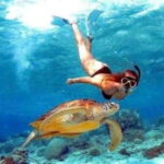 Bali: Nusa Penida Full-Day Trip with Snorkeling - What’s Included and Not
